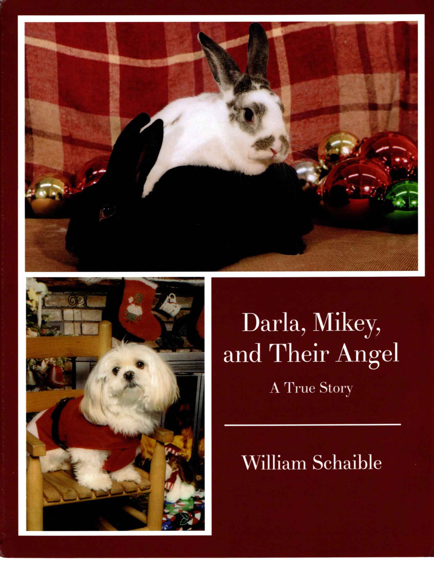 Angel’s Tails: William Schaible’s Heartfelt Journey with Darla, Mikey ...